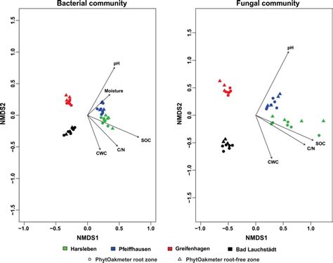 Tree Root Zone Microbiome Exploring The Magnitude Of Environmental