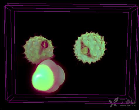 Imagej的一些基本操作 知乎