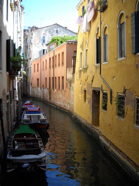 Dscn3021 Papilionoideae Flickr