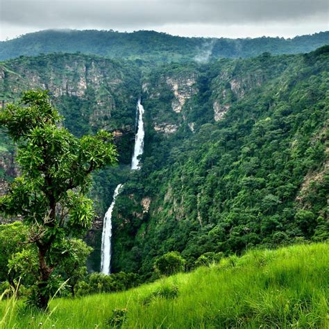 Exploring The Best National Parks In Ghana Ghana National Park