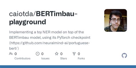 Github Caiotdabertimbau Playground Implementing A Toy Ner Model On
