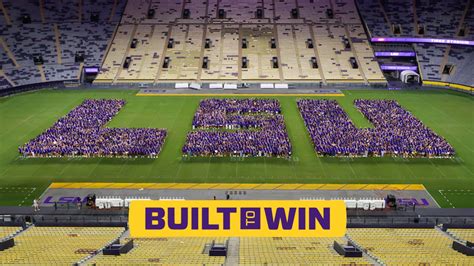 Impact Excellence And Purpose