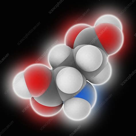 Glutamic Acid Molecule Stock Image C025 7459 Science Photo Library