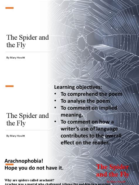 Spider And The Fly Pdf Poetry Spider
