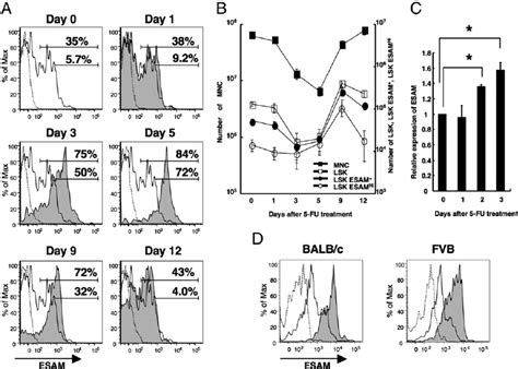 Esam Expression Is Upregulated On Lsk Cells After 5 Fu Treatment A