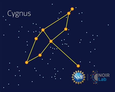 Cygnus