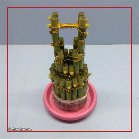 Jual Bambu Hoki Bambu Keberuntungan Bambu Mini Bambu Rejeki