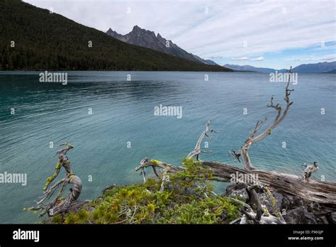 Canada British Columbia Chilcotin Chilcotin Ark Chilko Lake Stock