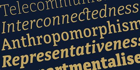 Directa Serif Variable Fonts I Love Typography