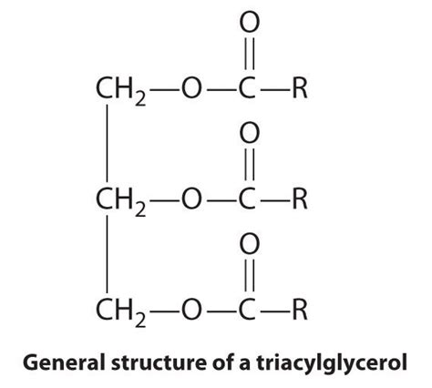 The Molecules Of Life