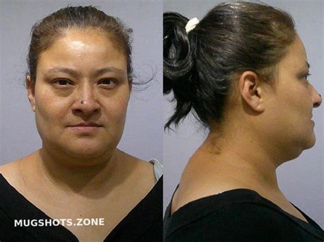 Salgado Maribel 08 11 2023 Kendall County Mugshots Zone