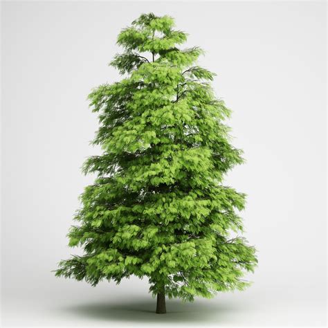 3d trees