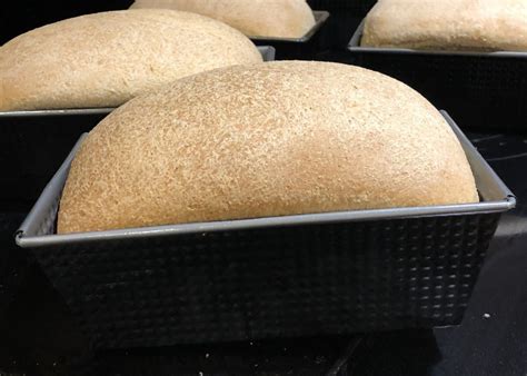 Whole Wheat Bread Small Batch My Kitchen Clatter
