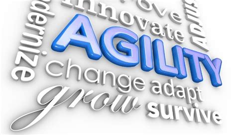 Ning Ye On Linkedin Prescriptive Agile An Ox And A Moron