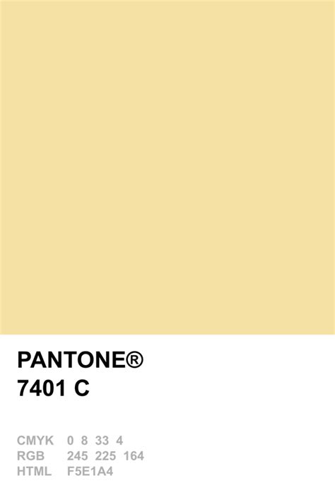 Yellow And White Wheat Collection Color Palette Graphic Design Color