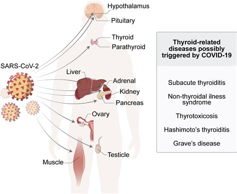 Acquired Hypothyroidism