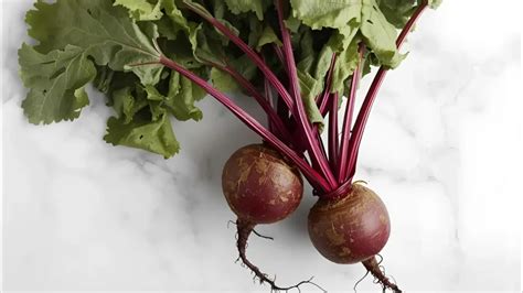 335 Beet Puns Fresh Funny And Flirty Root Jokes You Cant Beet 🥬