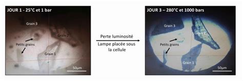 Observation Au Microscope Des Grains Dolivine Places Dans La Chambre à Download Scientific