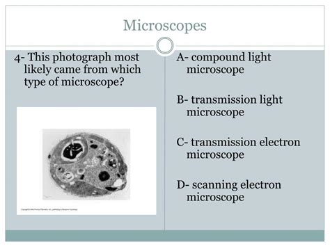 Ppt Microbe Mission Face Off Powerpoint Presentation Free Download