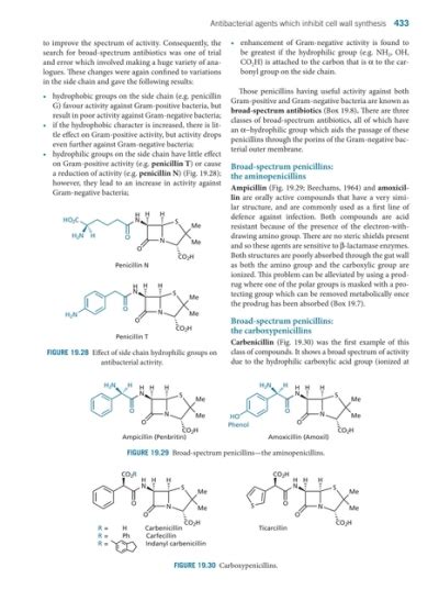432 Chapter 19 Antibacter