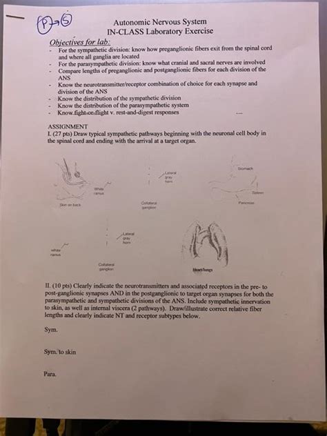 Solved Objectives For Lab For The Sympathetic Divisio