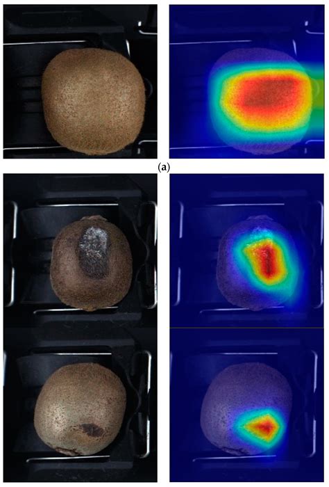 Efficient Non Destructive Detection For External Defects Of Kiwifruit