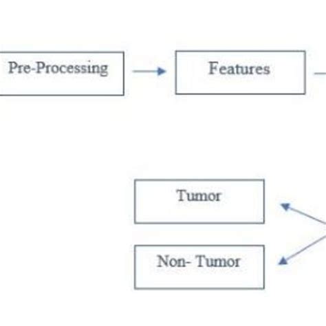 pdf brain tumour detection using machine learning