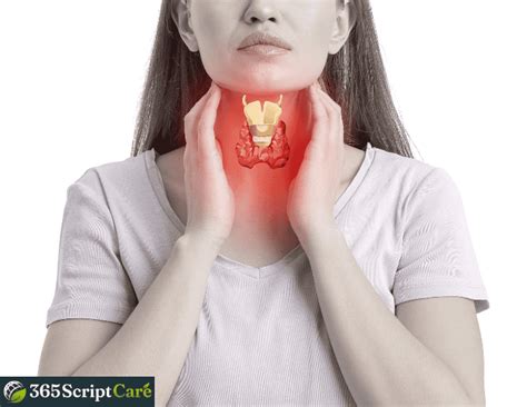 Levothyroxine Synthroid A Treatment For Thyroid Problems 365 Script Care