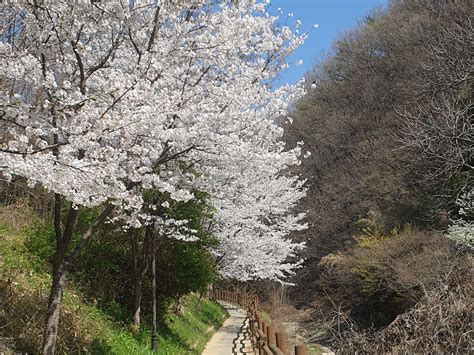 골프에반하다광주스크린골프 Band