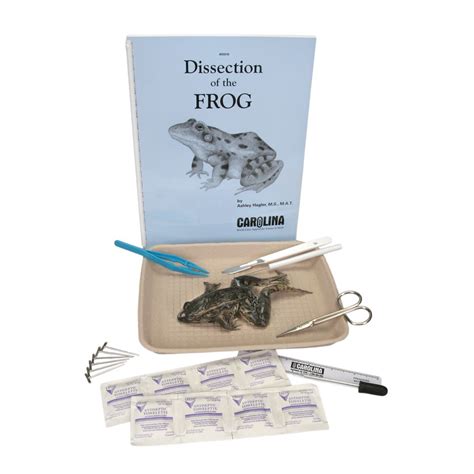 Frog Dissection Kit Toy At Tina Kemp Blog