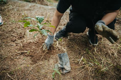 Virtually Ph Virtual Assistant Company Philippines