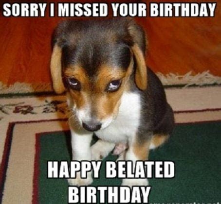 35 Best Happy Belated Birthday Memes