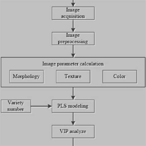 The Identification Procedure Of Milled Rice Variety Using The Machine