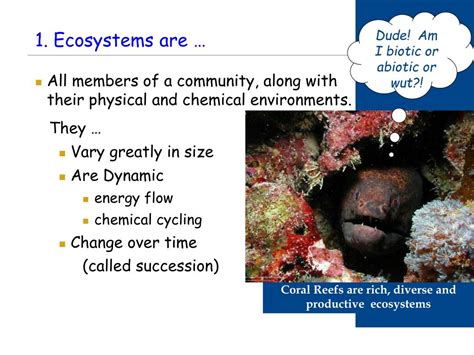 Ppt Interdependence Of Life Ecosystems Powerpoint Presentation Free Download Id 371924
