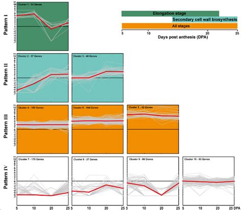 Rnaseq Analysis Identifies Gene Expression Profile