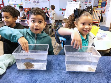 Adopt A Class Bailey Matthews National Shell Museum And Aquarium