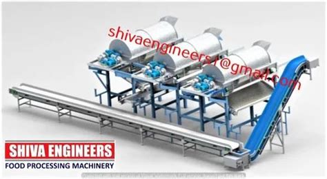 Processing Line Frozen Green Peas Processing Machinery Manufacturer From Pune