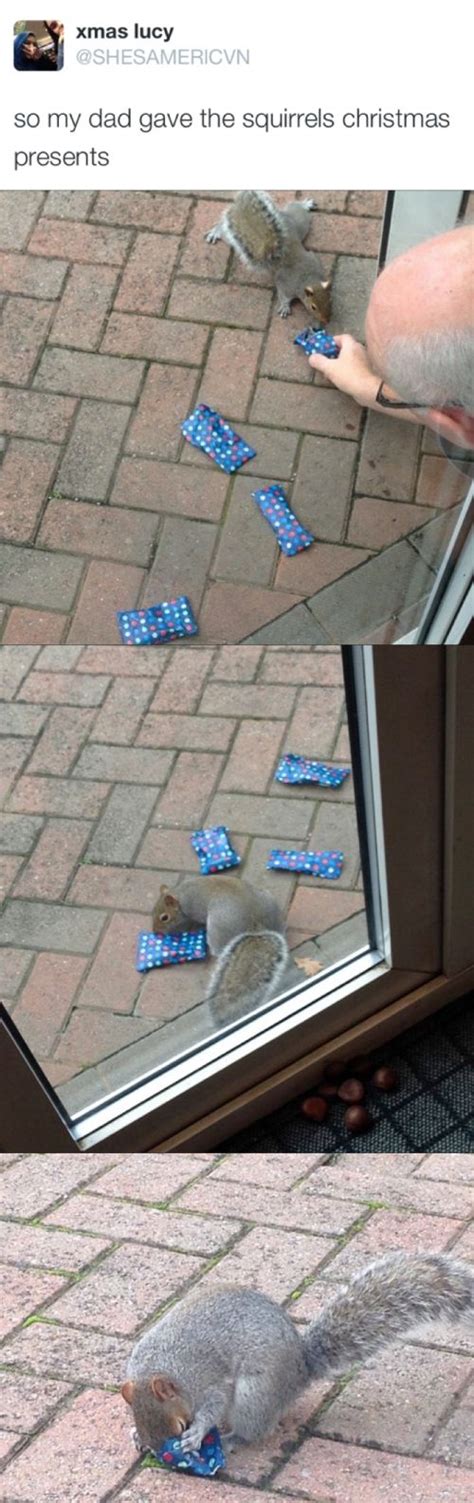 Memes That Deliver A Massive Dose Of Humor Fun