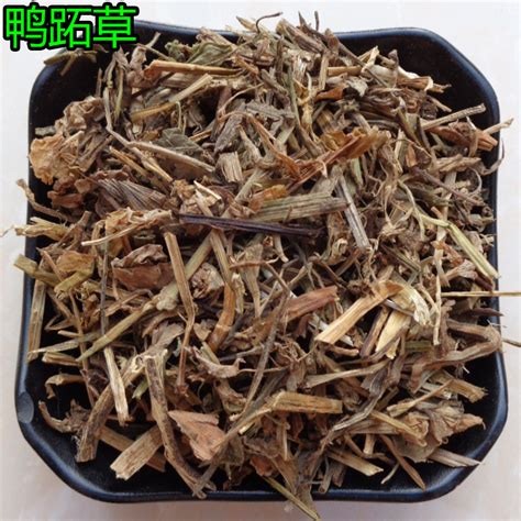 批发供应 鸭跖草 鸭趾草 鸡舌草 碧竹草 耳环草 碧竹子 青耳环花 阿里巴巴