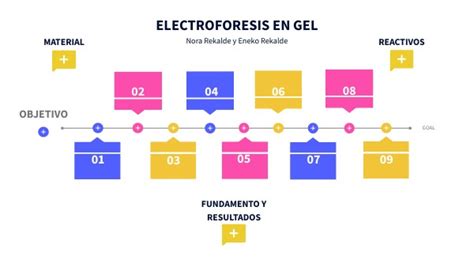 Electroforesis En Gel Timeline Genially