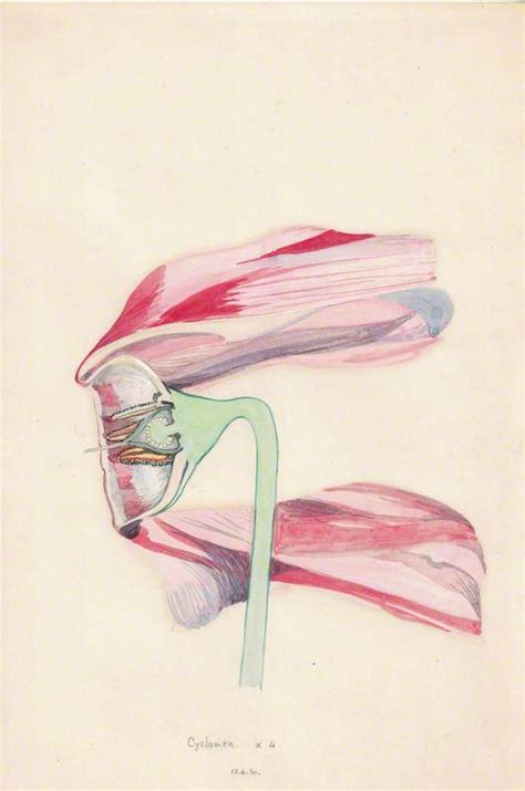 Smith Edith Philip 1897 1976 Art Uk