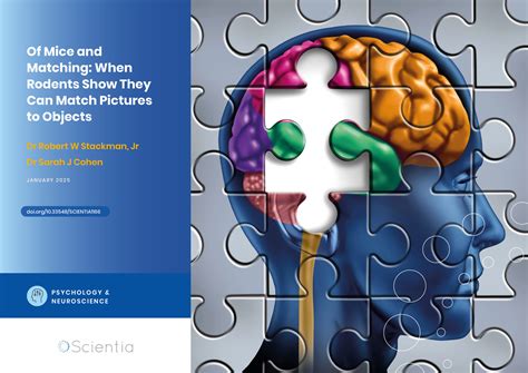 Dr Robert W Stackman Jr Dr Sarah J Cohen Of Mice And Matching When Rodents Show They Can