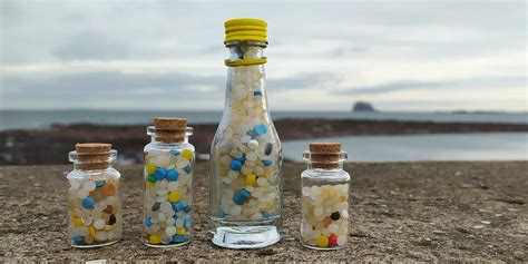 World Earth Day Nurdle Hunt Scottish Seabird Centre