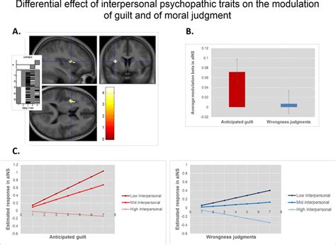 modulation of feelings of guilt and wrongness judgments in anterior