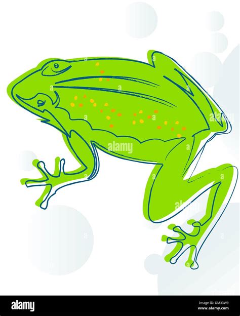 Fingers Frog Stock Vector Images Alamy