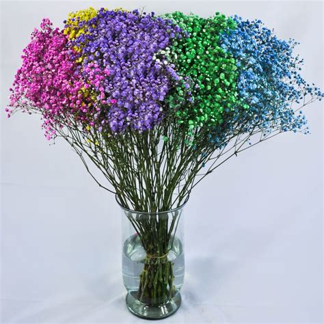 Rainbow Mix Nina Flowers