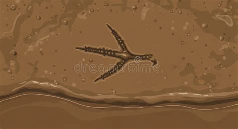 The Mud Around The Imprint Providing A Sense Of Realism To The Stock
