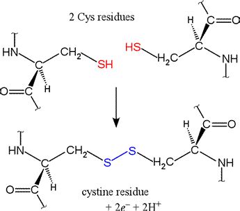 Chem 440 Lecture 5