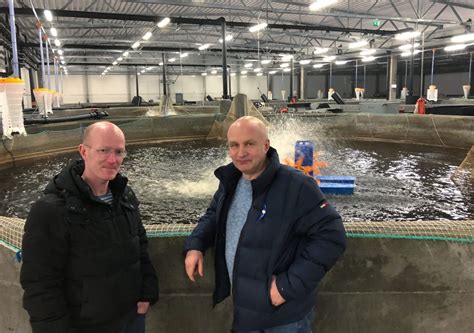 Potential Of Recirculation Aquaculture System Ras International