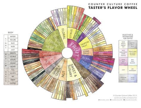 Flavor Wheels Help You Describe The Taste Of Everything Party Trick